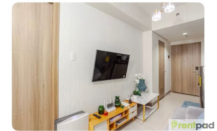 Fully Furnish 1BR with Parking in SMDC S Residences MOA Complex #0d1f3a7993