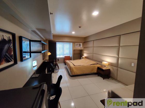 Large Interior Designed Studio at Senta Condo for Rent #8dc973bd5